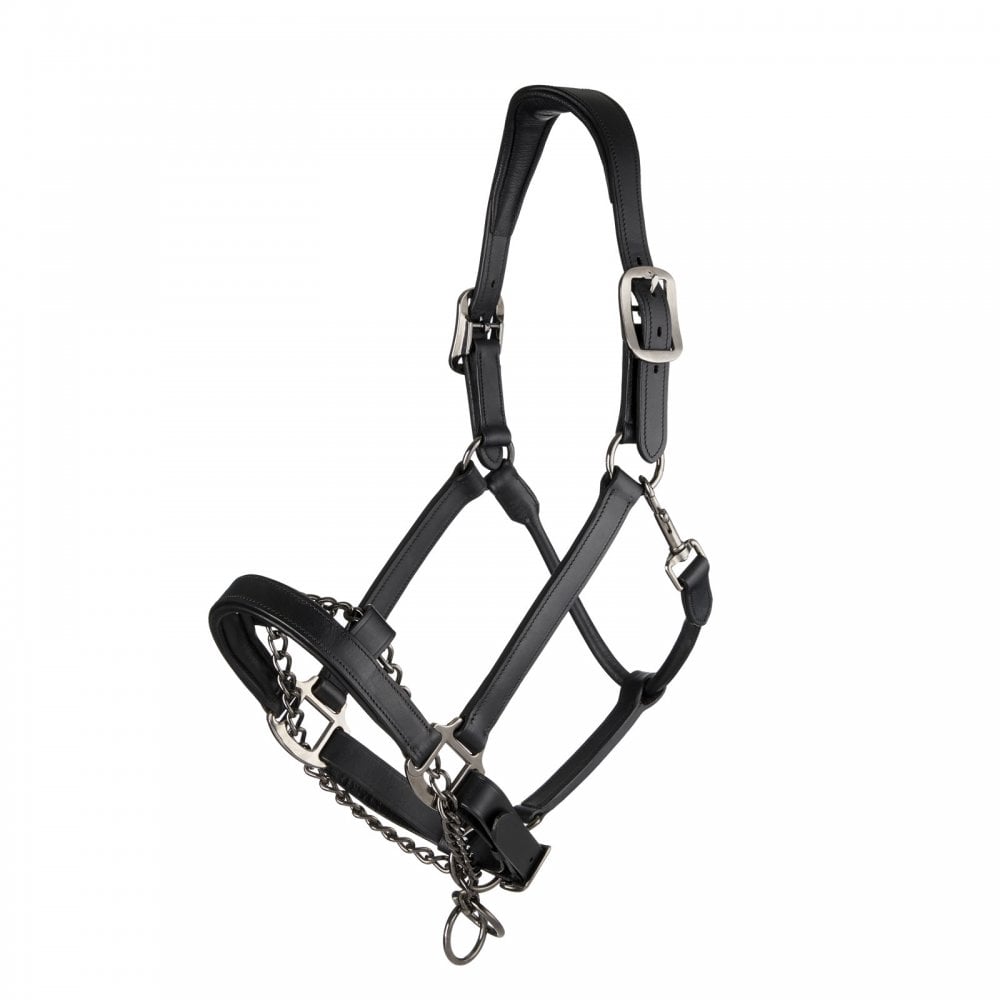 LeMieux Leather Control Headcollar | Houghton Country
