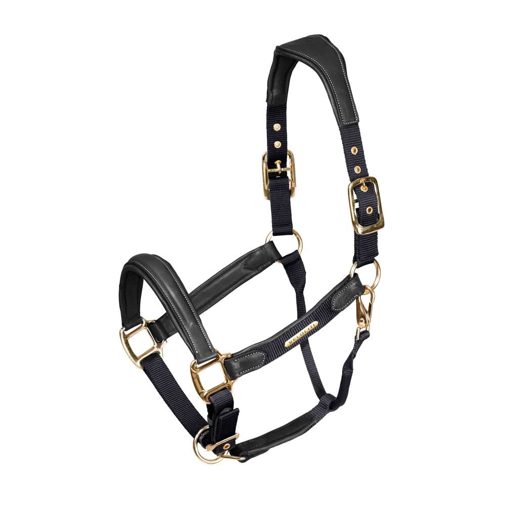 Shires Velociti Lusso Padded Leather Headcollar