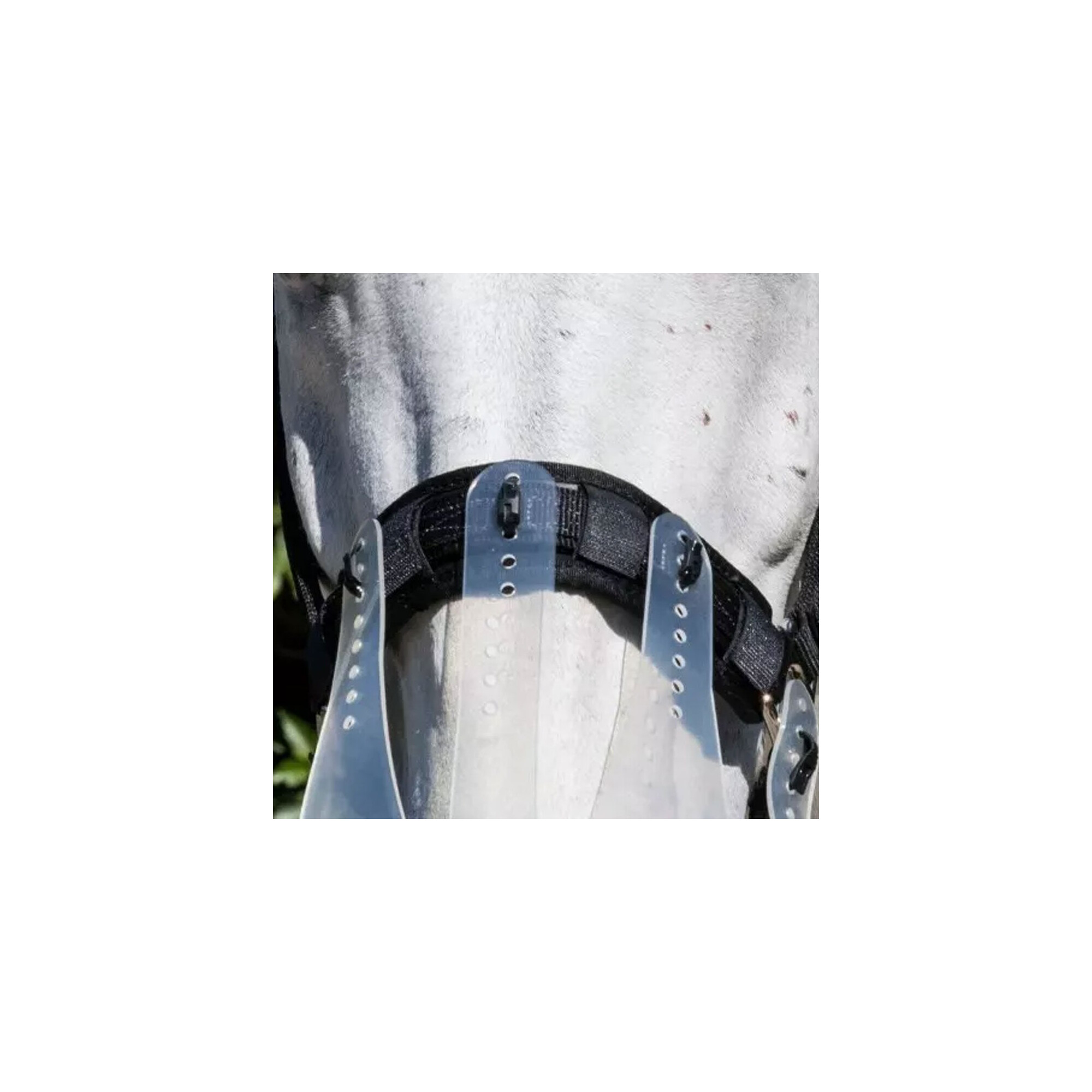 thinline breakaway headcollar